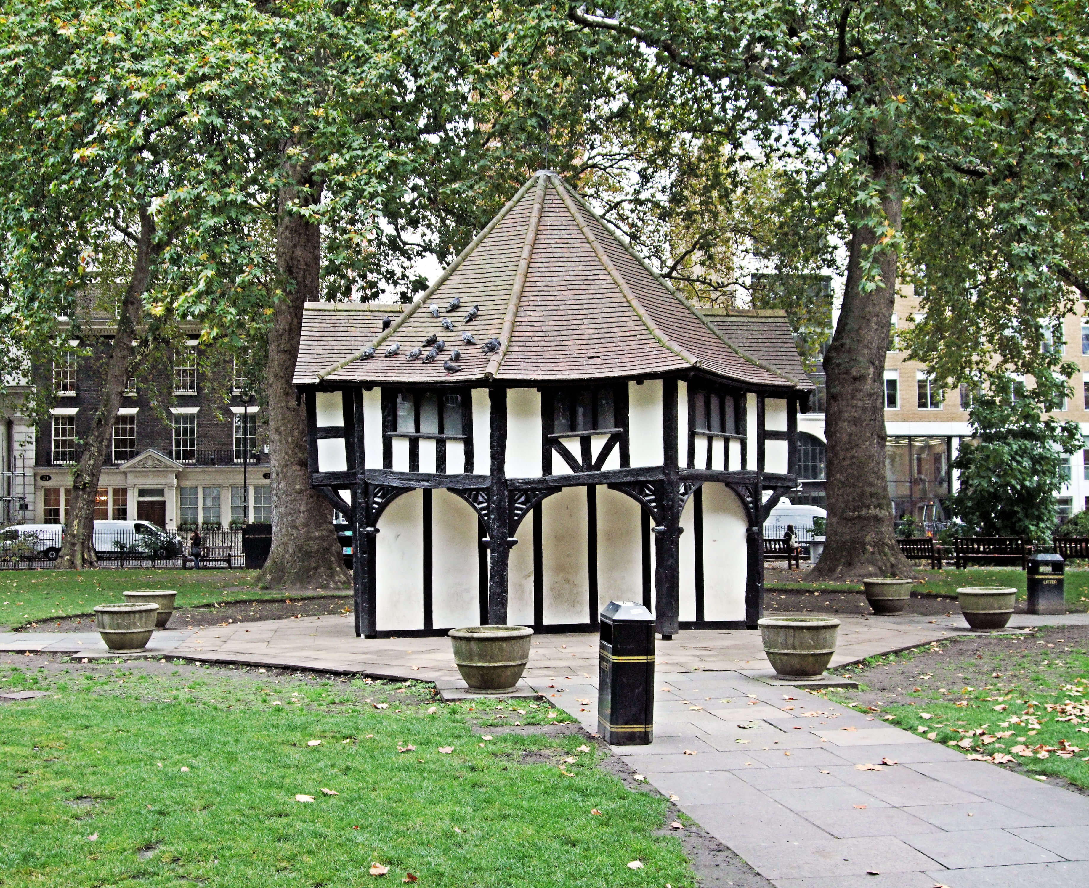 London plane - Soho Square