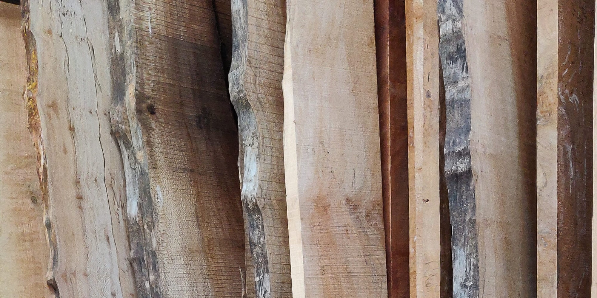 Light Toned Hardwood Timber | Fallen and Felled | London Wood