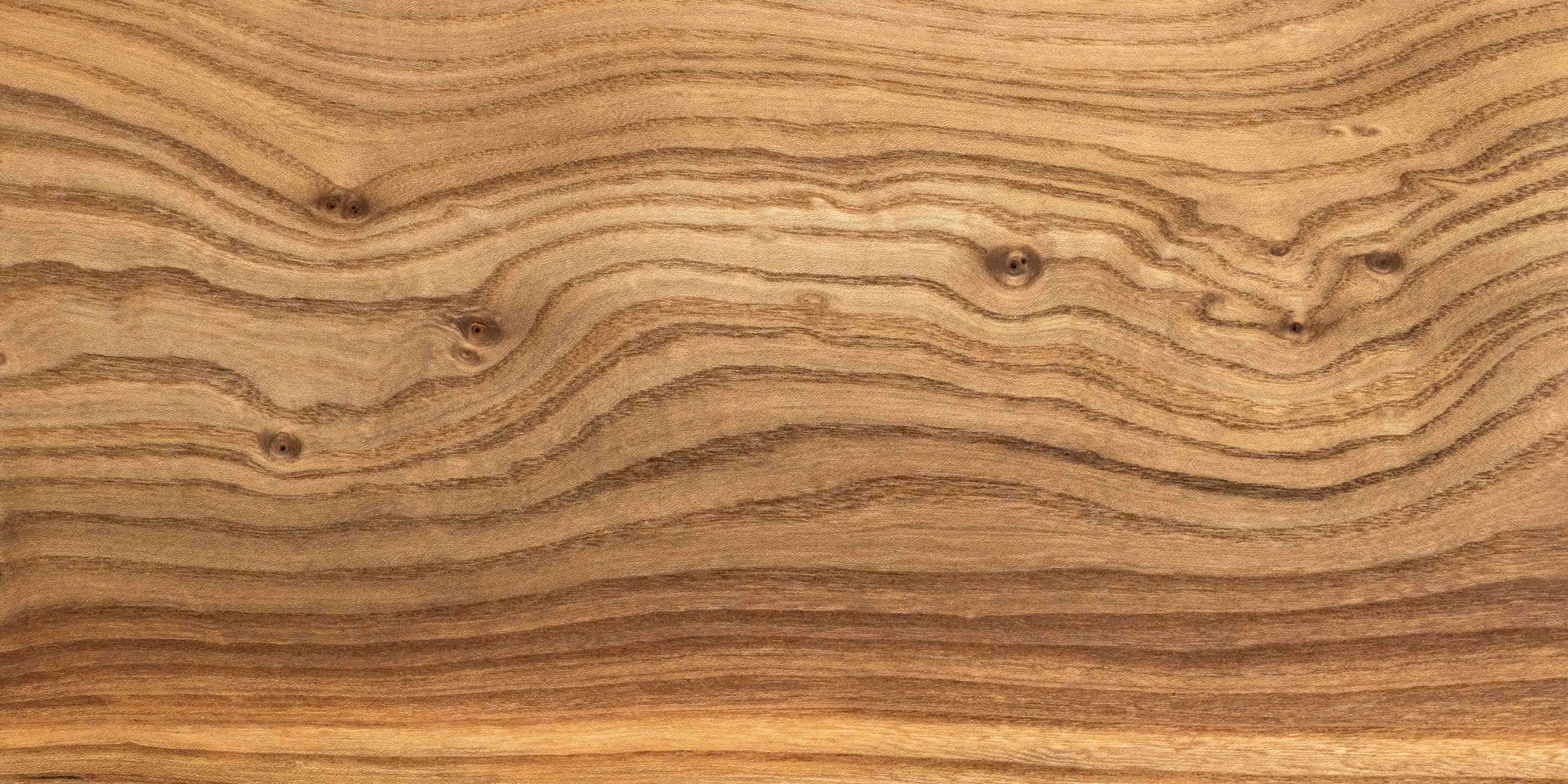 Bookmatched Wood - Pairs of Walnut, Oak, Ash and Elm