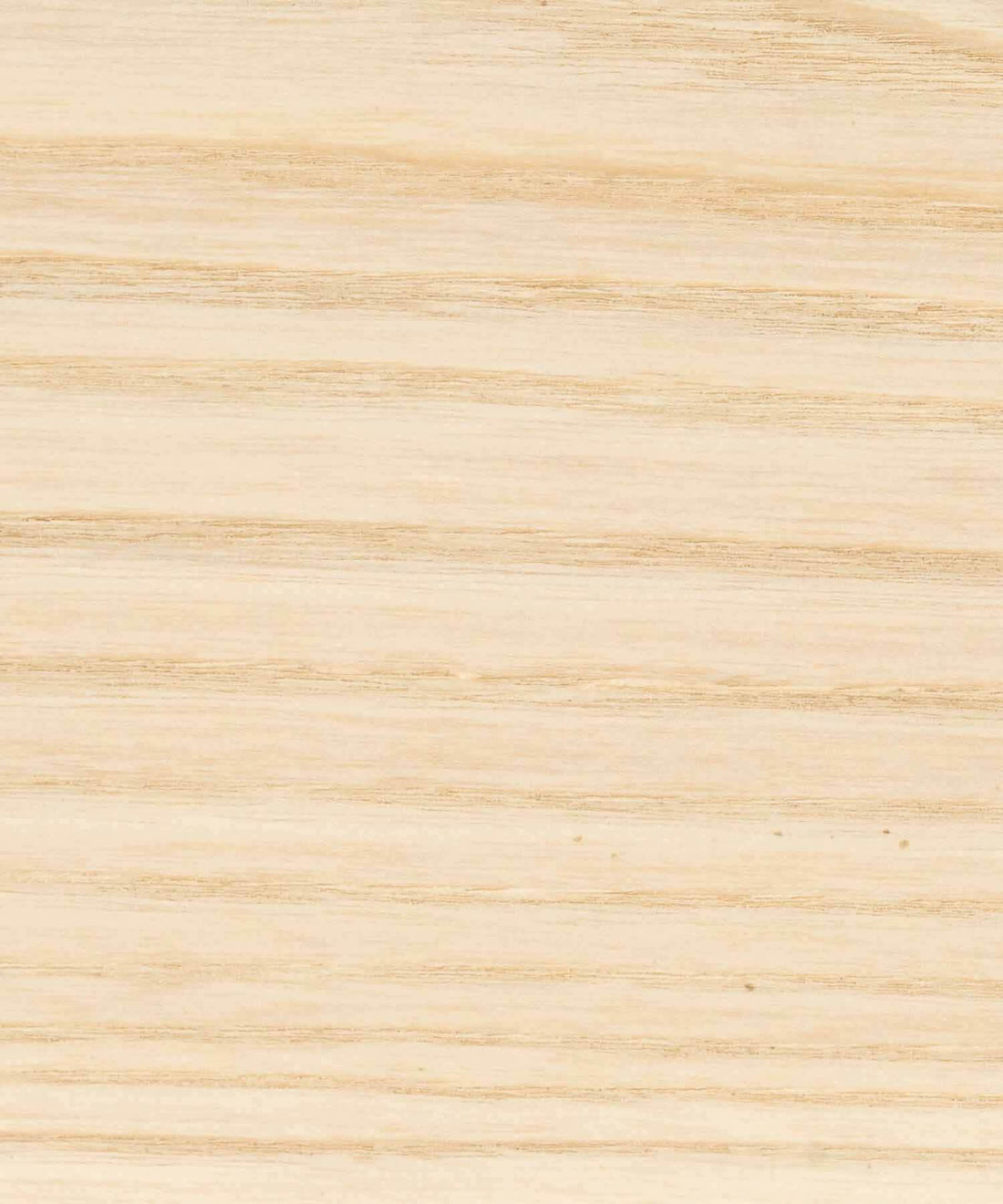 Fallen & Felled | Sustainable Hardwood Timber | London