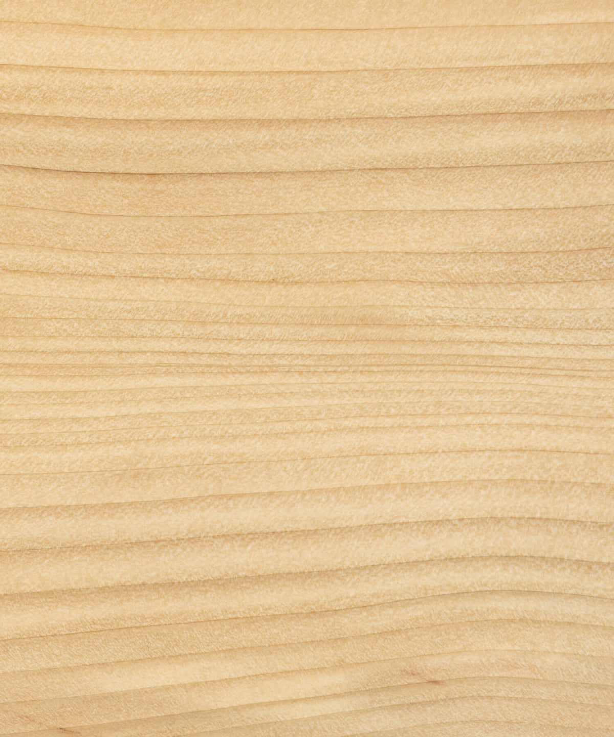 Cedar of Lebanon | Fallen and Felled London | Eco Timber Merchant