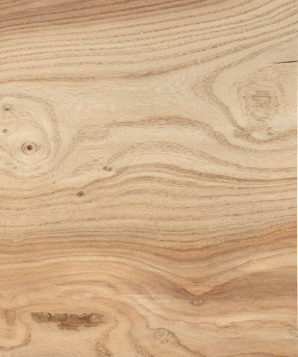 Elm timber | Fallen and Felled | English Hardwood Timber Merchant