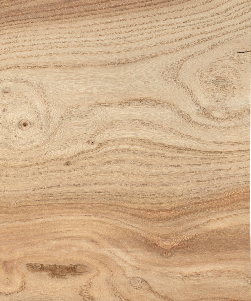 Elm timber | Fallen and Felled | English Hardwood Timber Merchant