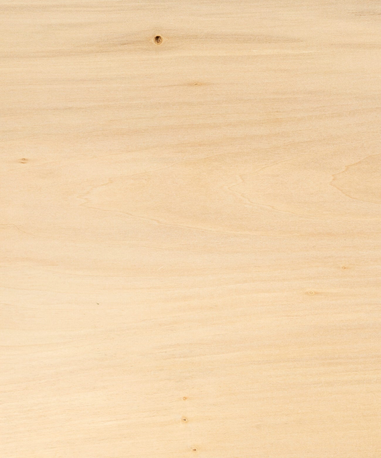 Lime Wood | Fallen and Felled London | English Hardwood Timber Merchant