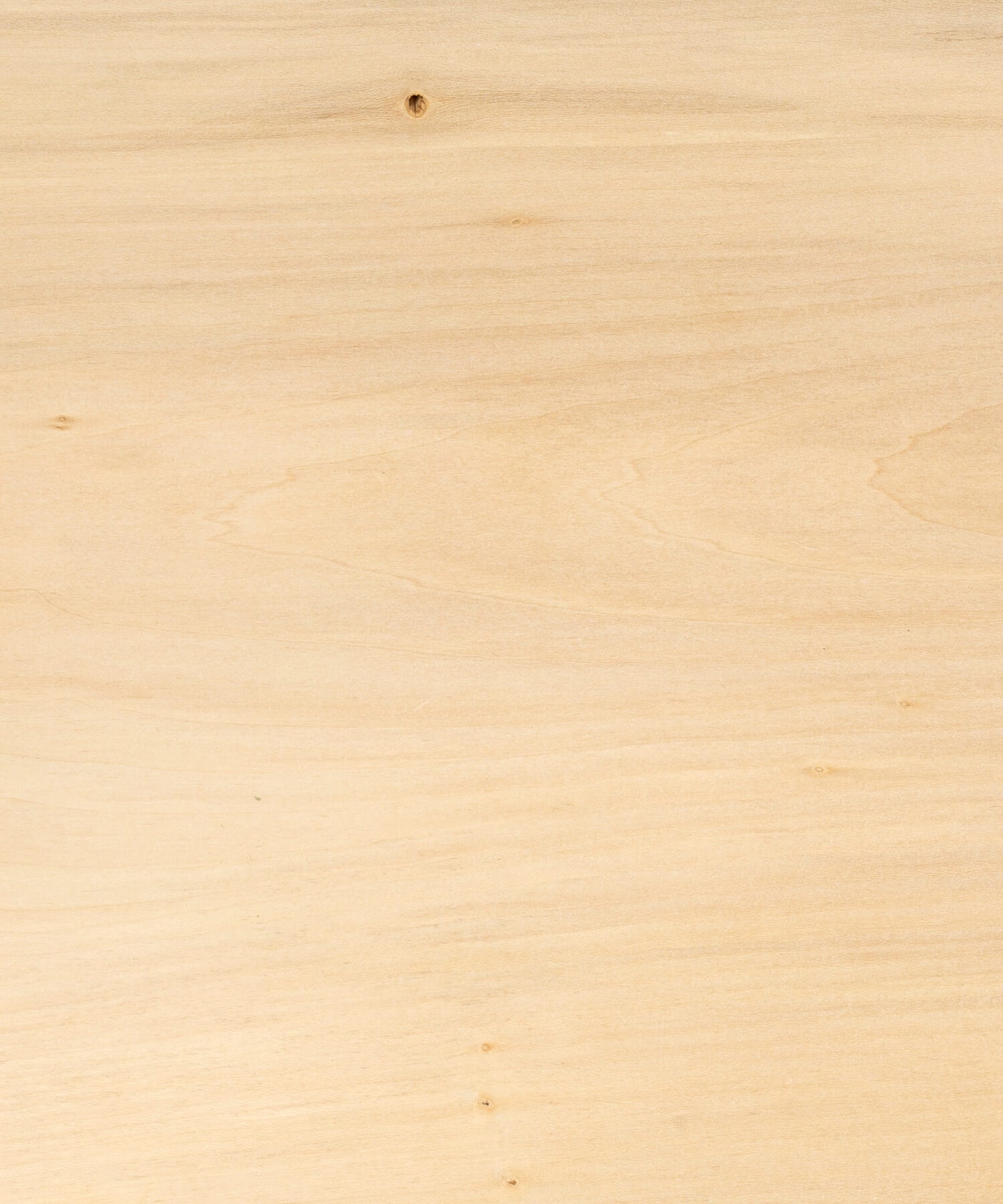 Lime Wood | Fallen and Felled London | English Hardwood Timber Merchant