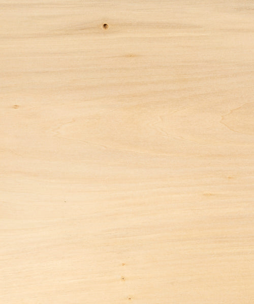 Lime Wood | Fallen and Felled London | English Hardwood Timber Merchant