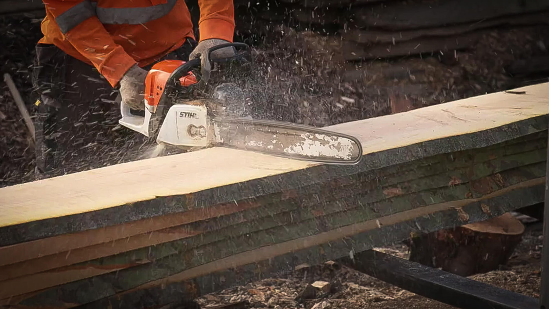 Fallen & Felled | Sustainable Hardwood Timber | London