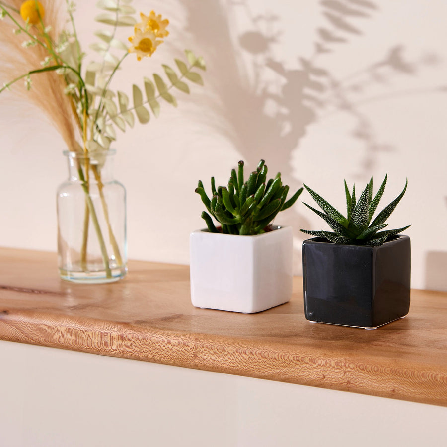 'Soho Square' Solid London Plane Wooden Floating Shelf