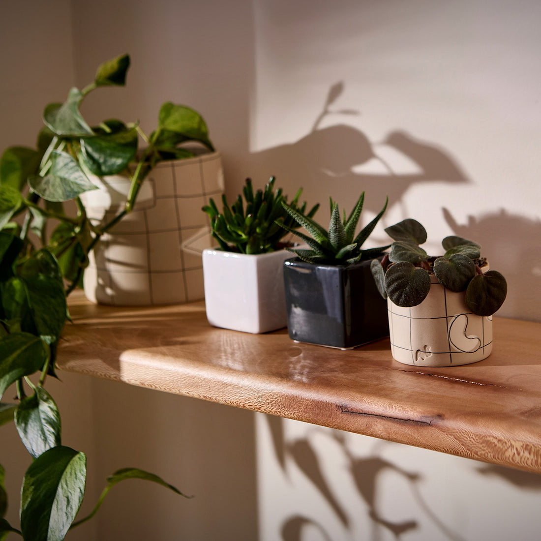 'Soho Square' Solid London Plane Wooden Floating Shelf