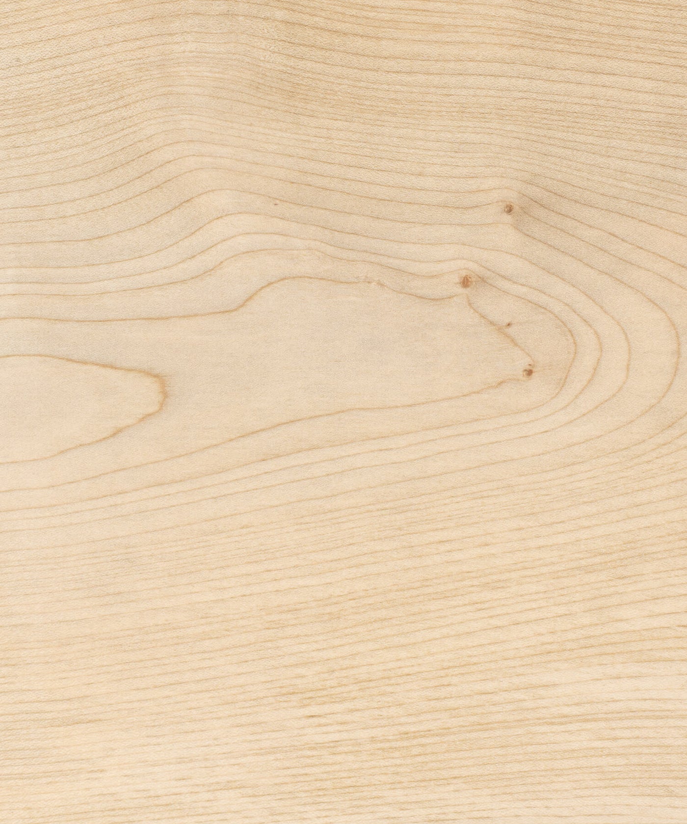 Sycamore Boards | Fallen and Felled London | English Timber Merchant
