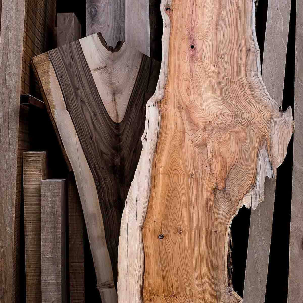 Fallen & Felled | Sustainable Hardwood Timber | London