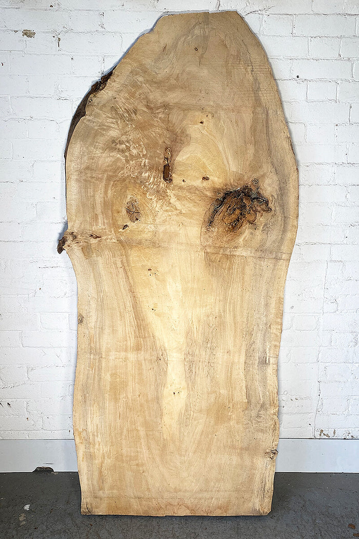 Black Poplar - Large Live Edge Board from Southwark | Wood Slab