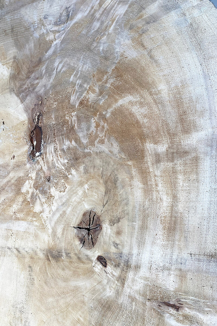 Black Poplar - Large Live Edge Slab from Southwark | Waney Wood Slab