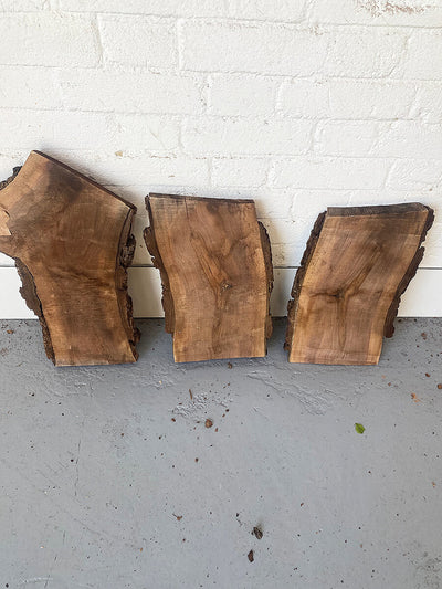 Black Walnut - Live Edge Boards from Croydon | Bulk Buy Timber 3 Pack