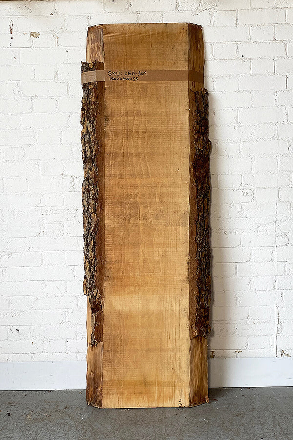 Blue Atlas Cedar Live Edge Board from London N6 | Waney Edge Hardwood