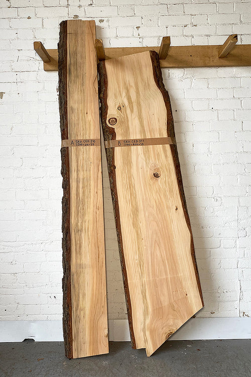 Blue Atlas Cedar - Waney Edge Board from London N6 | Live Edge Wood
