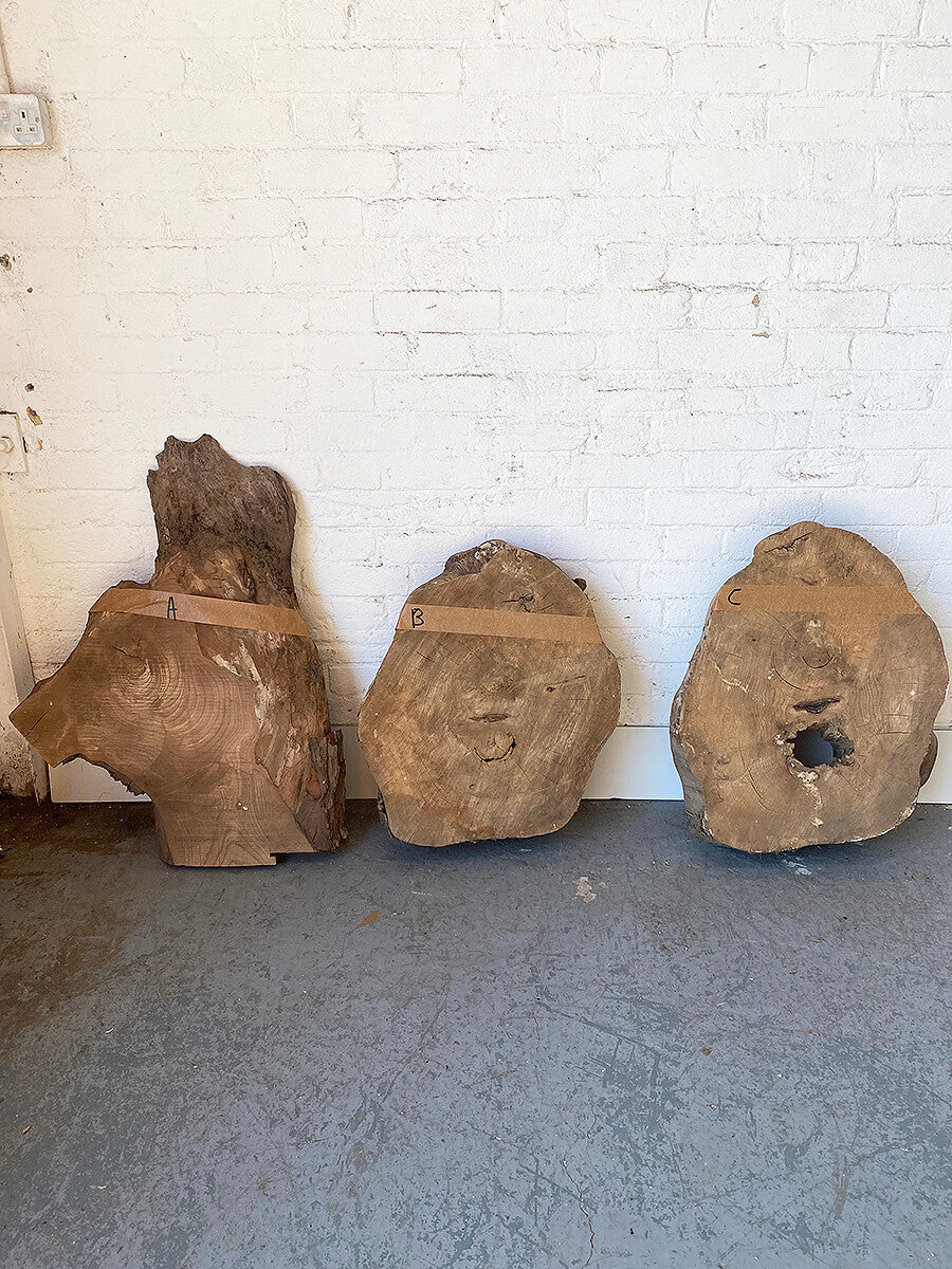 Elm - Character Boards / Slices from Brighton | English Live Edge Hardwood