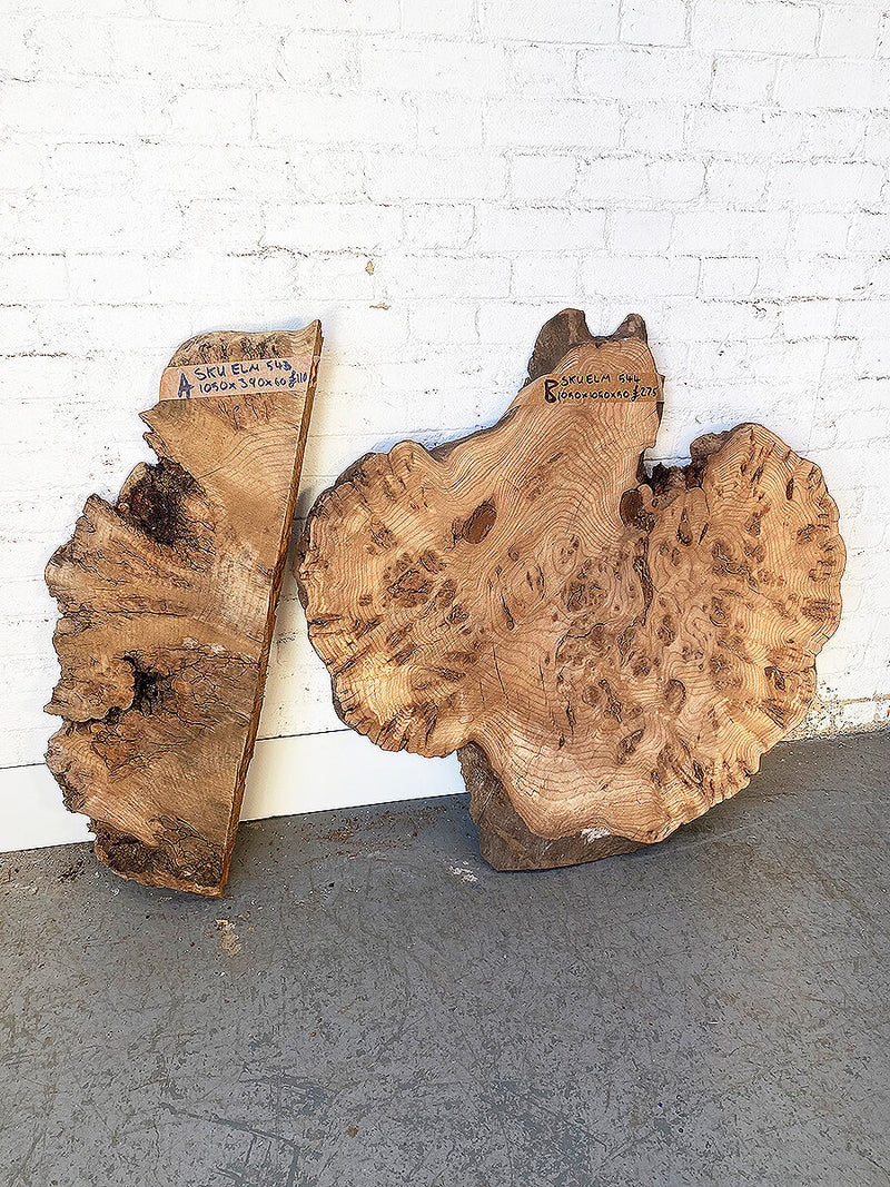 Elm - Character Burr Slabs / Slices | Kiln-Dried Wood Timber Boards