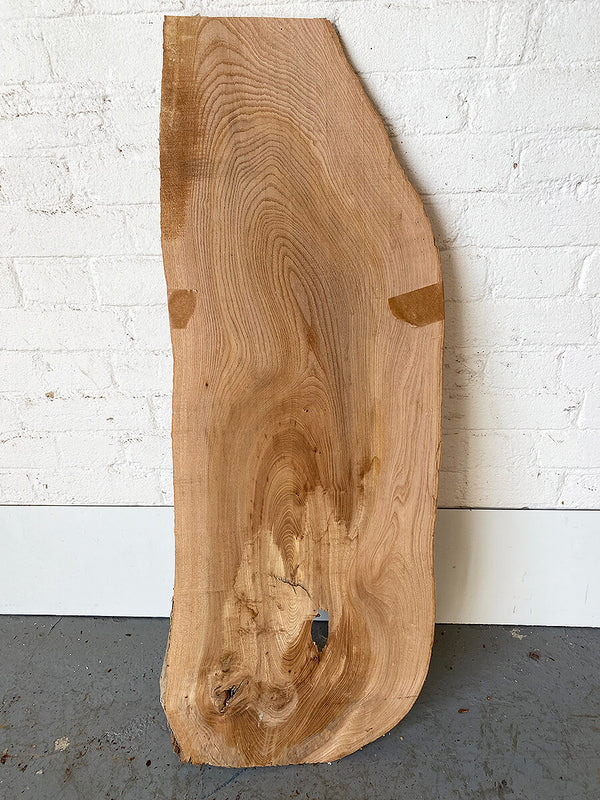 Elm - Live Edge Board from Brighton | Kiln-Dried Wood Timber