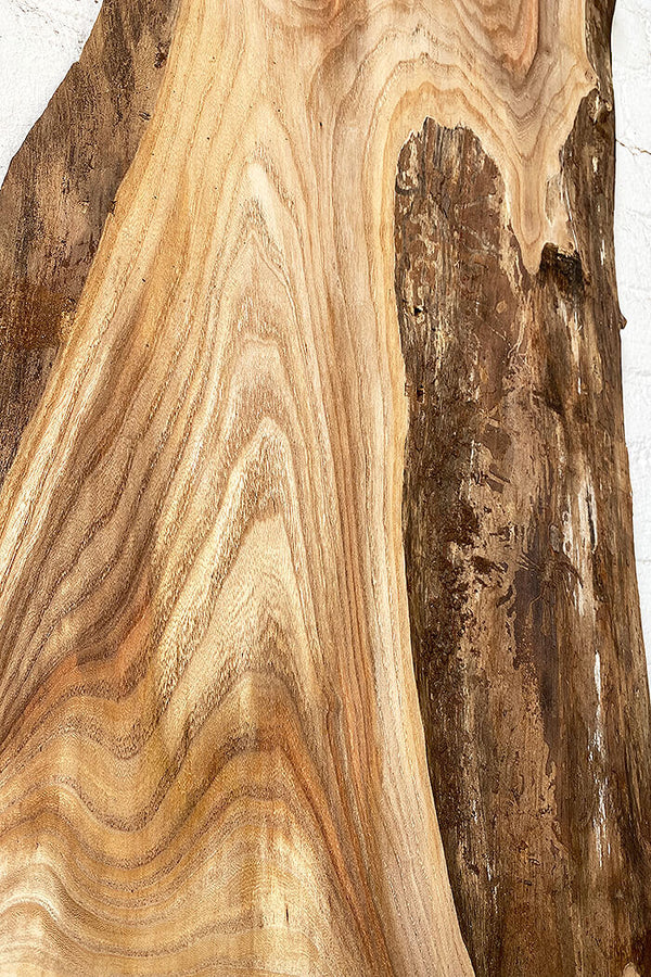 Elm Boards from Brighton | English Hardwood Boards