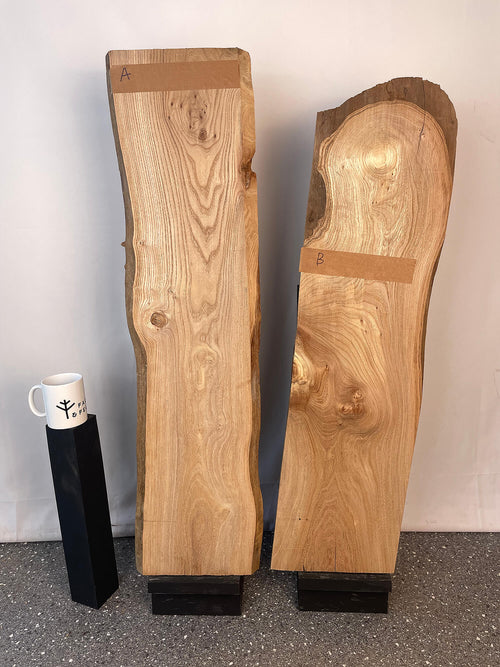 Elm - Rustic Waney Edge Pair | Kiln-Dried Live Edge Wood