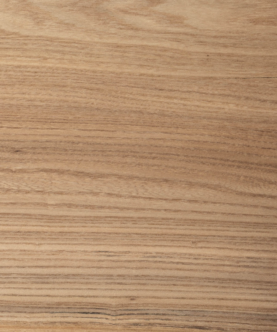 Elm timber | Fallen and Felled | English Hardwood Timber Merchant