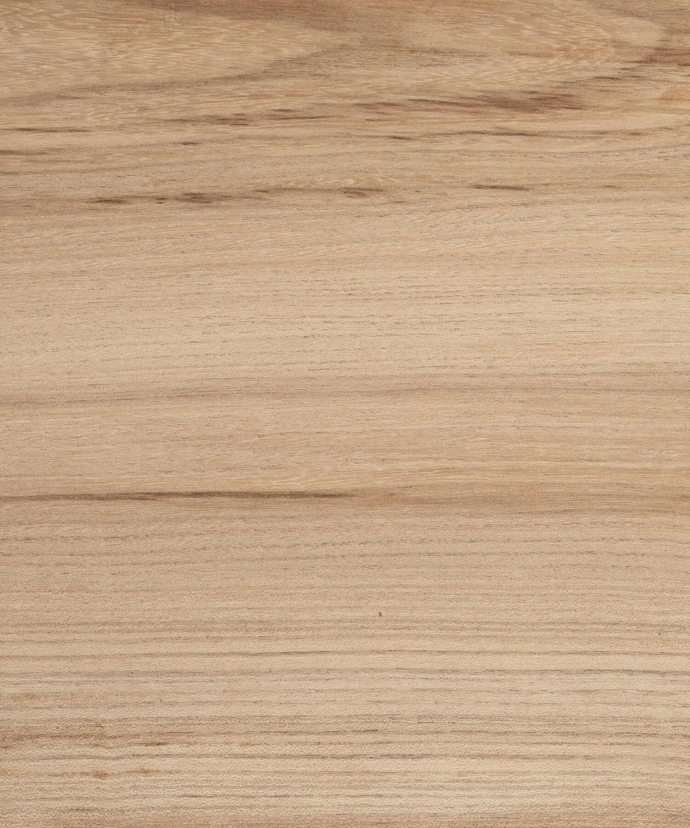 Elm timber | Fallen and Felled | English Hardwood Timber Merchant