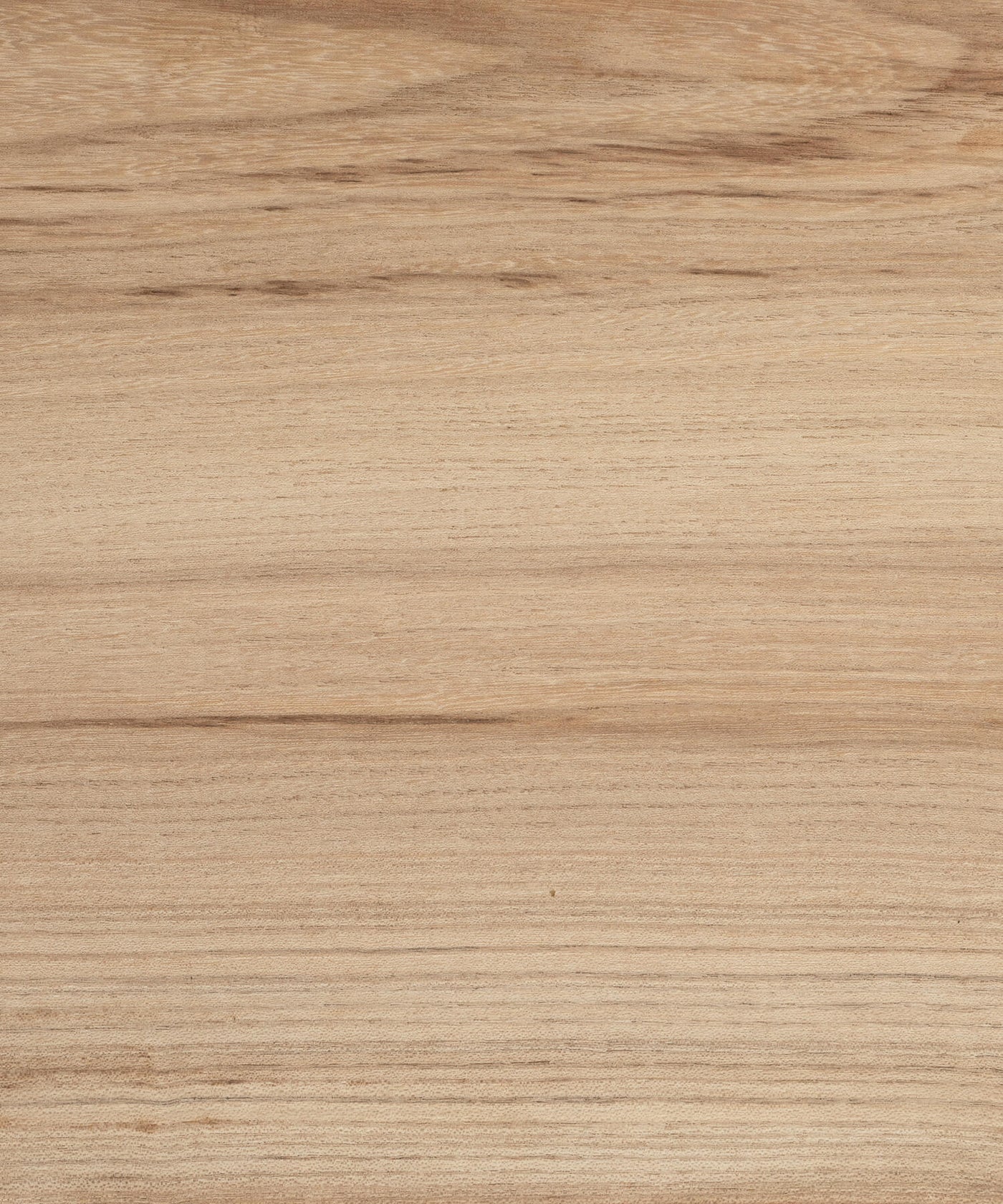 Elm timber | Fallen and Felled | English Hardwood Timber Merchant