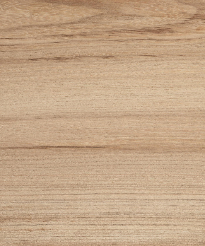 Elm timber | Fallen and Felled | English Hardwood Timber Merchant