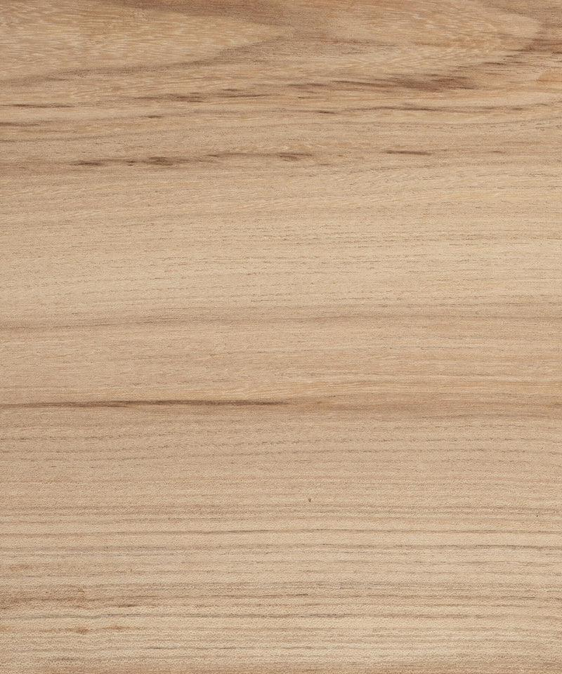 Elm timber | Fallen and Felled | English Hardwood Timber Merchant