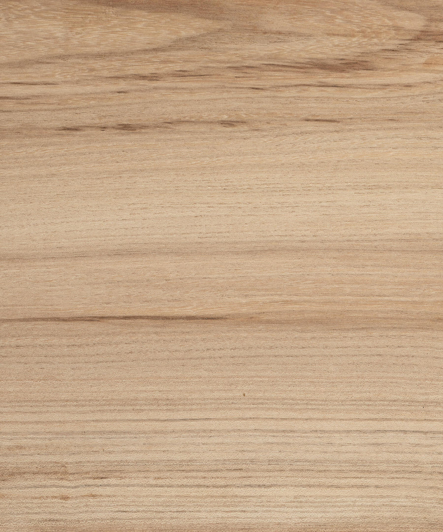 Elm timber | Fallen and Felled | English Hardwood Timber Merchant