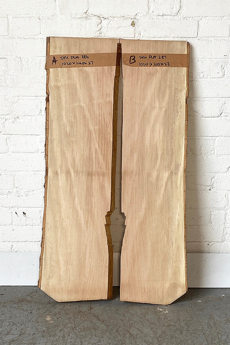 London Plane - Bookmatched Pair from N5 | Book Matched Wood Boards