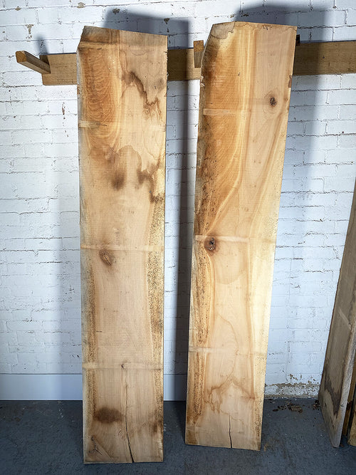London Plane - Lace Boards from Soho Square | Lacewood Planks