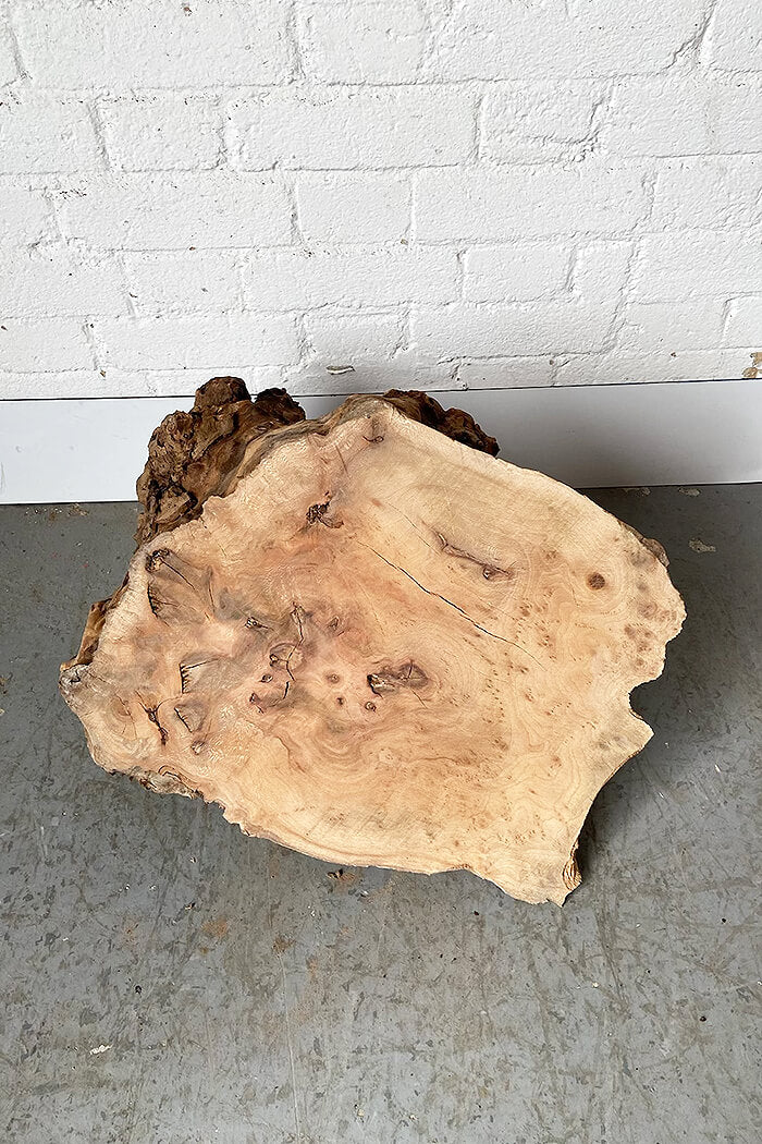 London Plane - Lacey Burr Block from Kensington Palace Gardens