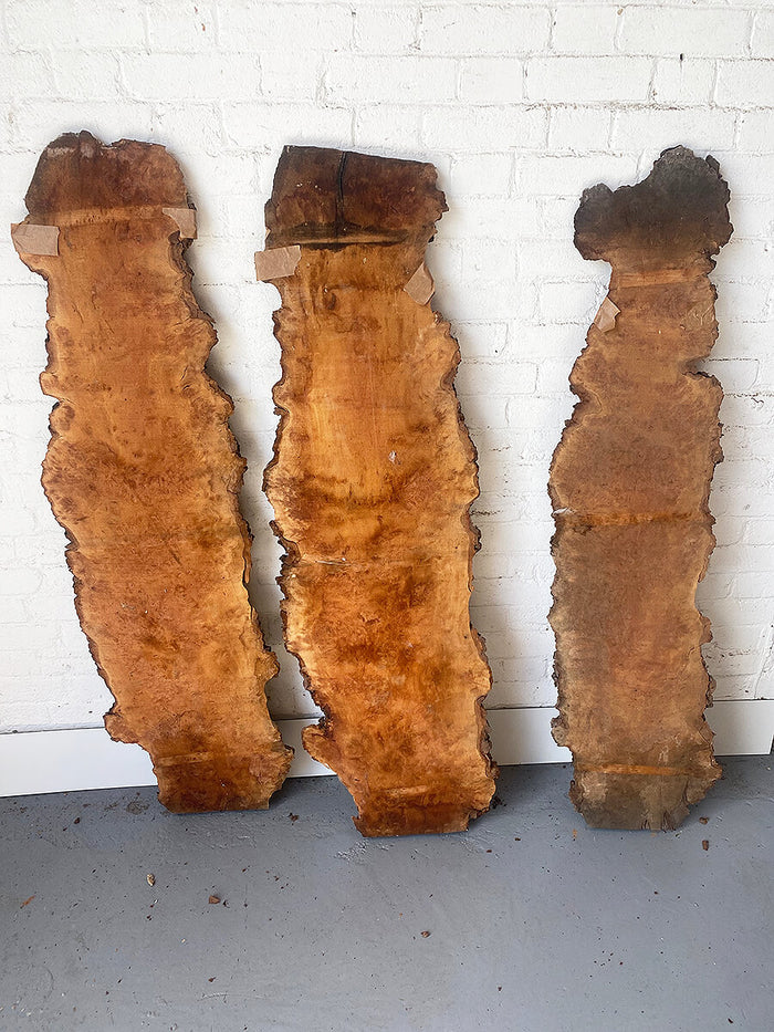 Live Edge Wood - Boards, Slabs, Timber for Shelves & Tabletops