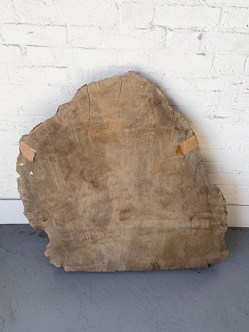 London Plane Live Edge Slab from Camden | Thick and Chunky Wood Board