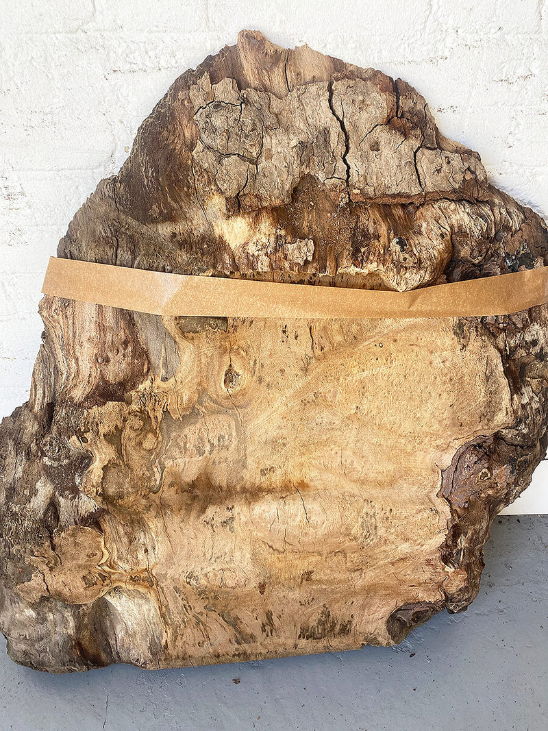 London Plane Live Edge Slab from Camden | Thick and Chunky Wood Board