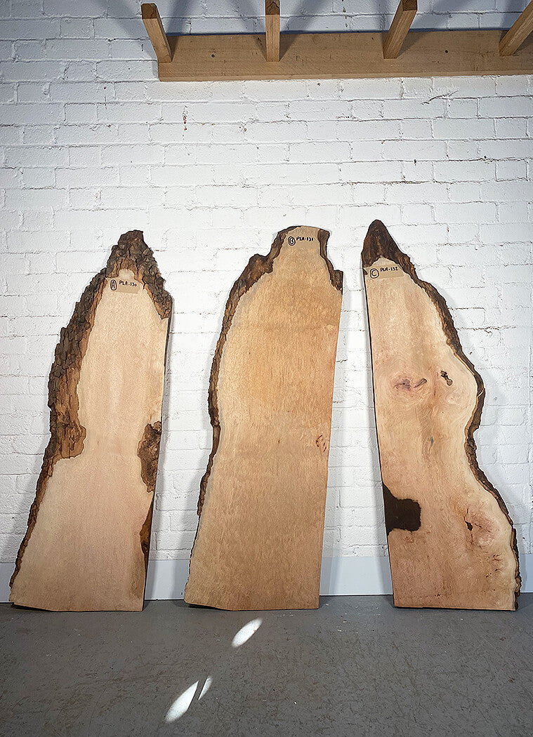 London Plane - Pippy Burr Boards from Camden | English Hardwood Timber