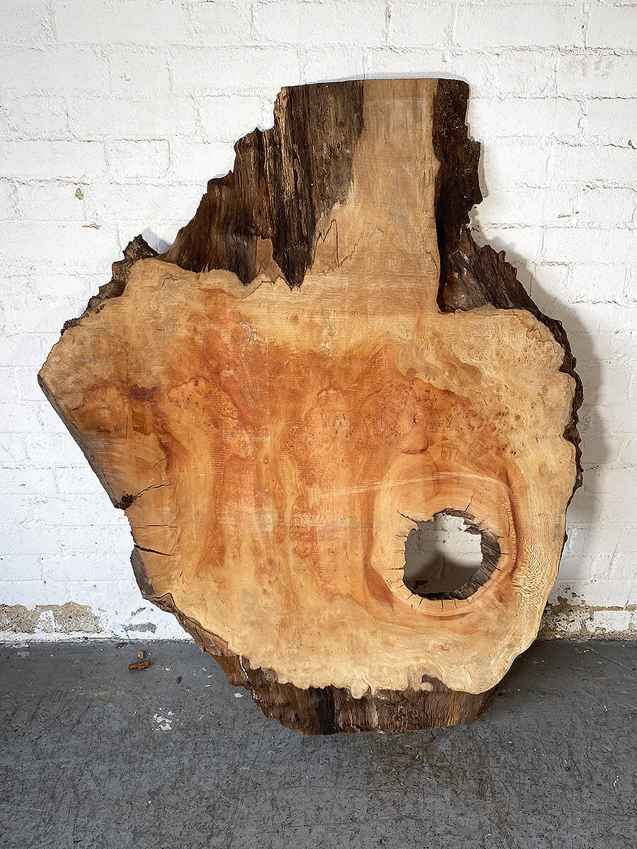 London Plane - Pippy Slab from Camden | Natural Edge Wood