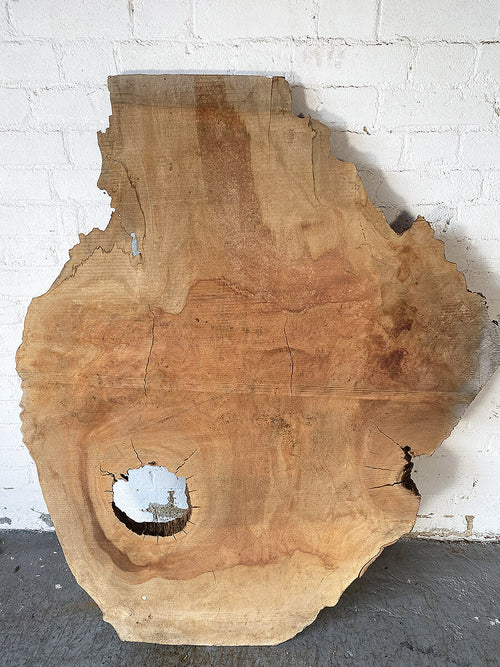 London Plane - Pippy Slab from Camden | Natural Edge Wood