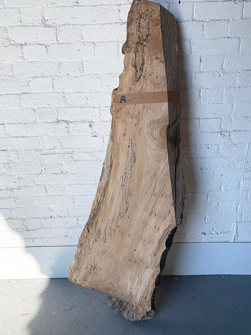 London Plane - Spalted Burr Board from Euston | Spalting Lace Live Edge