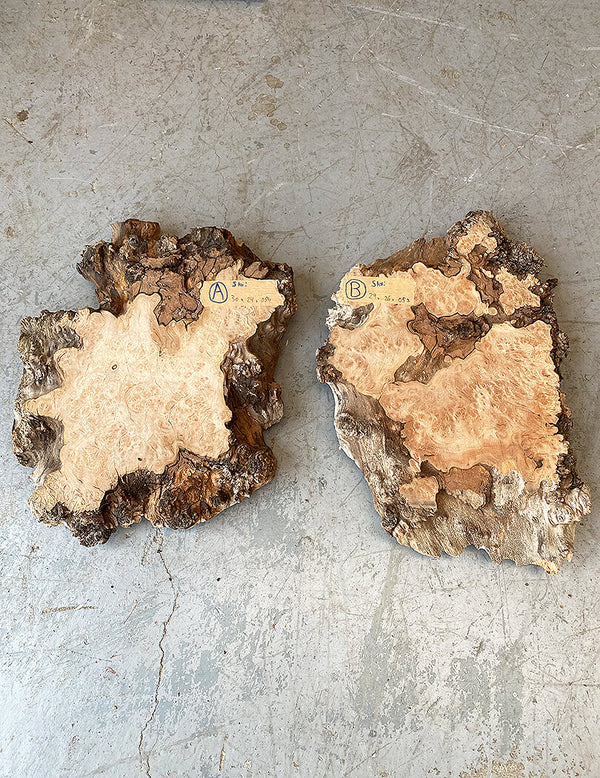 London Plane - Spalted Burr Board from Camden | English Wood Boards