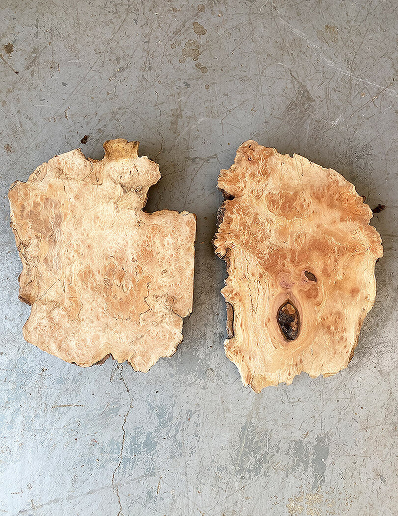 London Plane - Spalted Burr Board from Camden | English Wood Boards