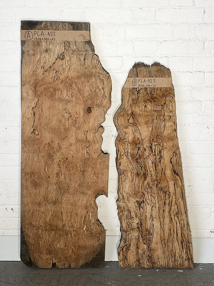 London Plane - Waney Edge Boards | Burr Spalted Wood Timber