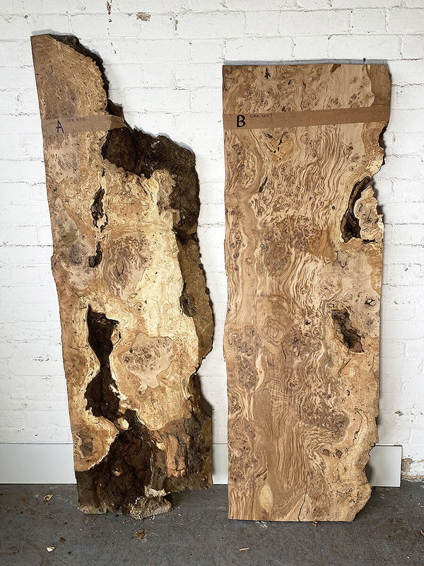 Oak - Burr Boards from HS2 | English Oak Wood Timber Hardwood