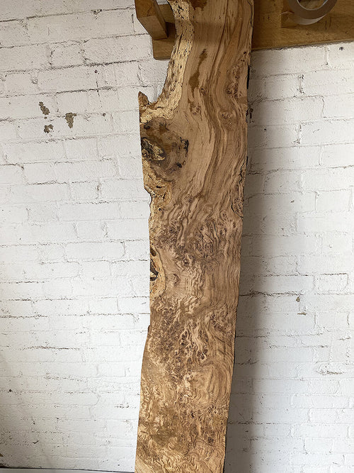 Oak - Live Edge Burr Board from HS2 | English Waney Edge Tiger Timber