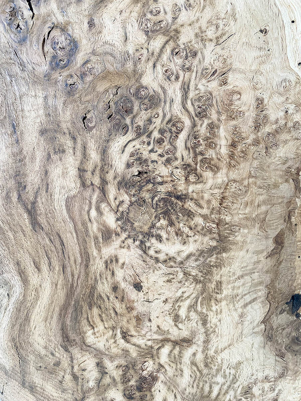 Oak - Live Edge Burr Board from HS2 | English Waney Edge Tiger Timber