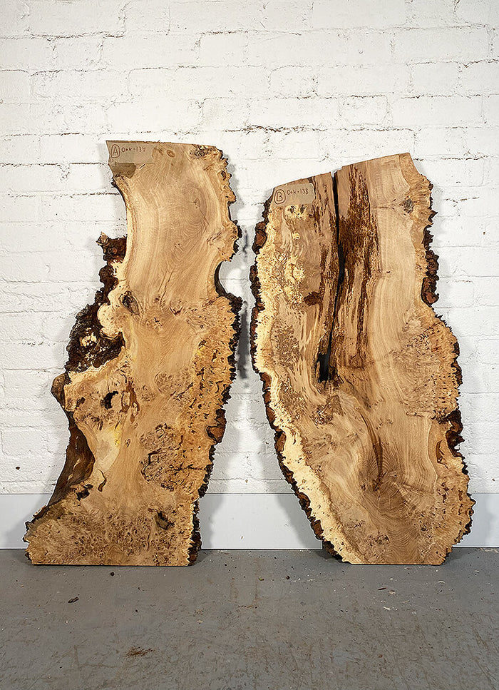 Oak - Pippy Burr Boards from Totteridge, Barnet | English Oak Wood
