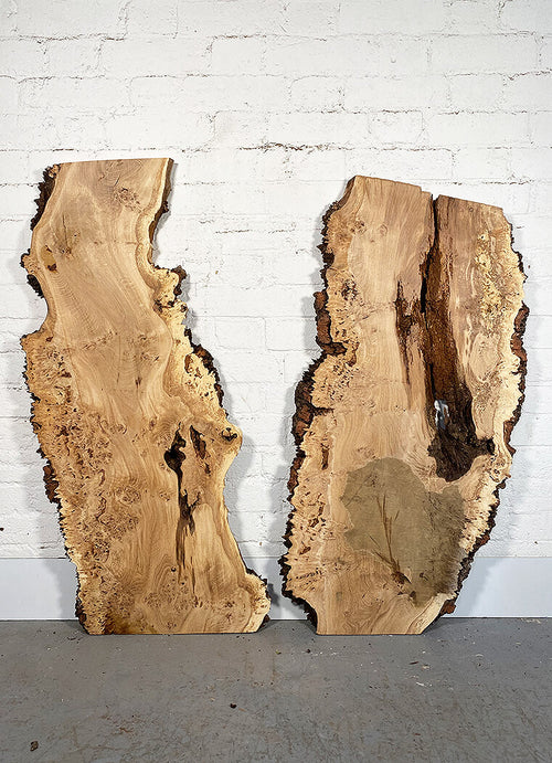 Oak - Pippy Burr Boards from Totteridge, Barnet | English Oak Wood