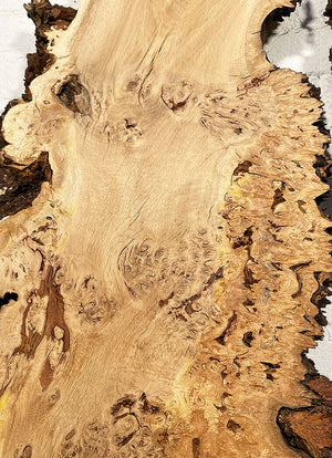 Fallen & Felled – Hardwood Timber & Bespoke Furniture London